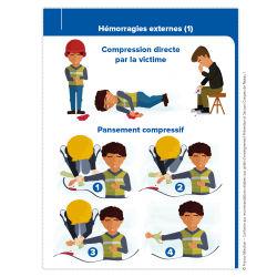 Secourisme - France-Sélection